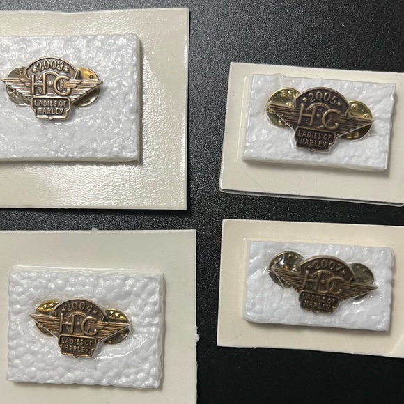 Harley-Davidson | Accessories | 4 Hd Hog Ladies Of Harley Annual ...